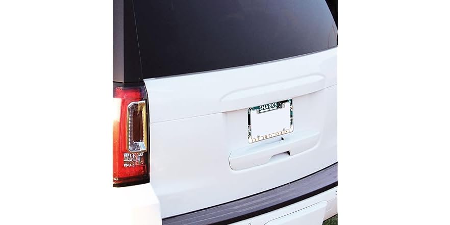 GATORS Chrome License Plate Frame