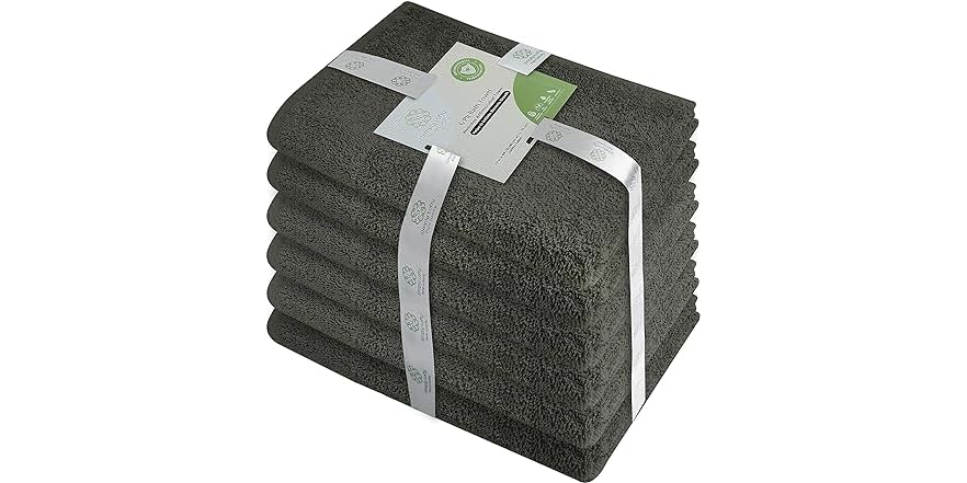 Simply Lofty 6 Pack Cotton Bath Towel - 22"x44"