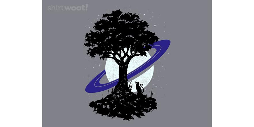 A Cat Named Saturn