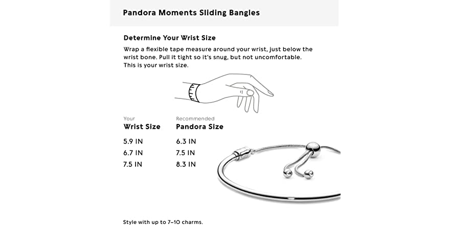 Pandora 597953CZ-3 21cm, 8.3 inches Pandora Moments Sil (Open Box)