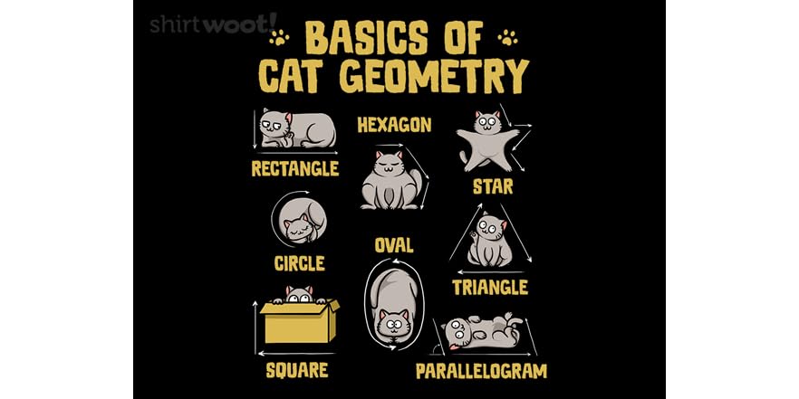 Basics of Cat Geometry