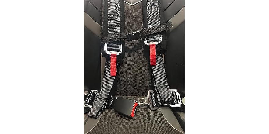 4 Point Harness with 2 Inch Padding