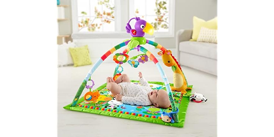 Fisher-Price Rainforest Gym