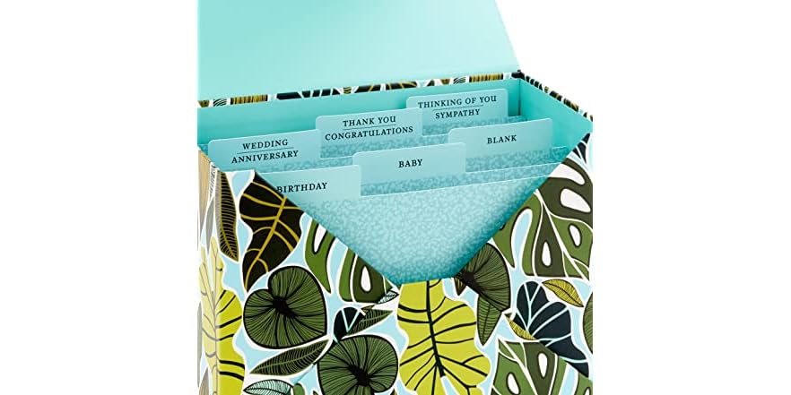 Assorted Boxed Greeting Cards