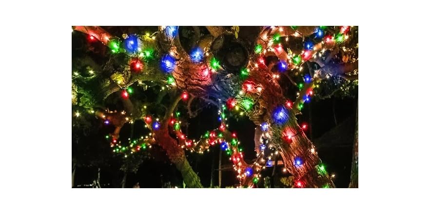 Titan Fairy String Lights