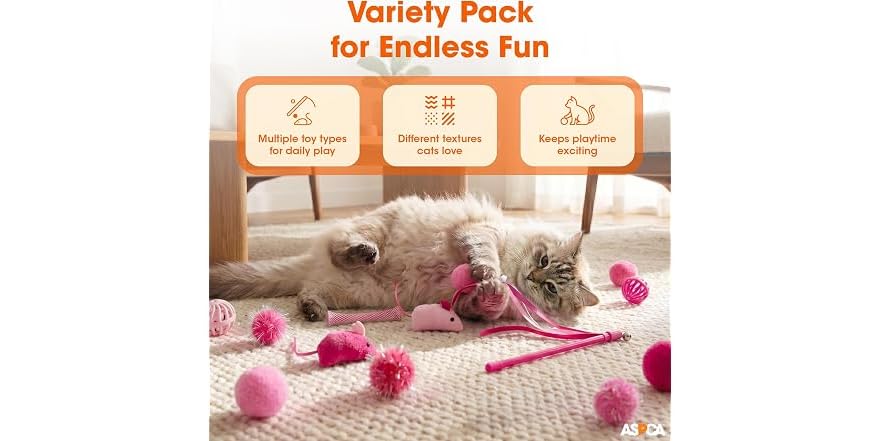 ASPCA 15-Piece Cat Toy Variety Pack