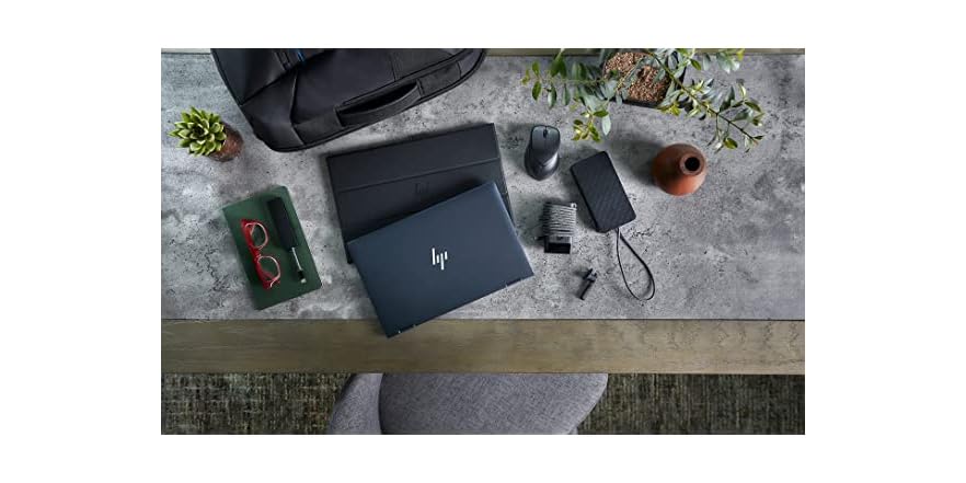 HP Executive 17.3 Backpack