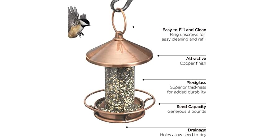 Classic Perch Bird Feeder