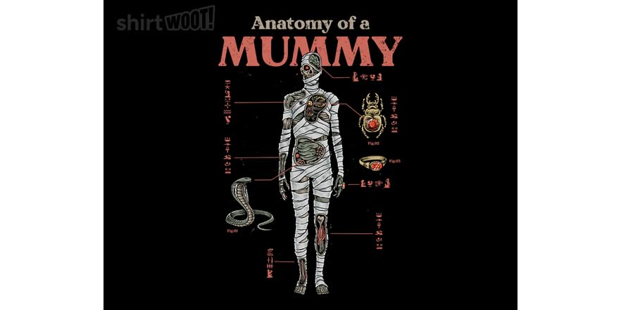 Mummy Anatomy
