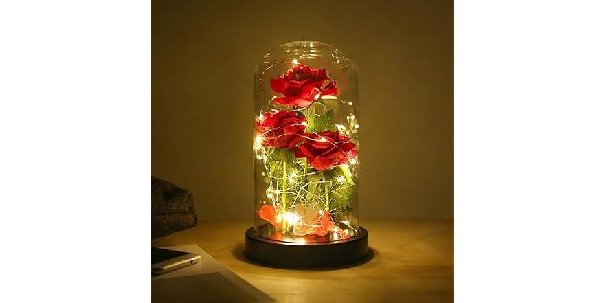 40 LED Lights Rose in Glass Dome