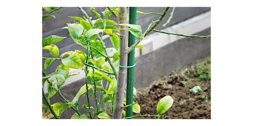 Bond SS7-HD 7ft x 3/4in Stake, Green