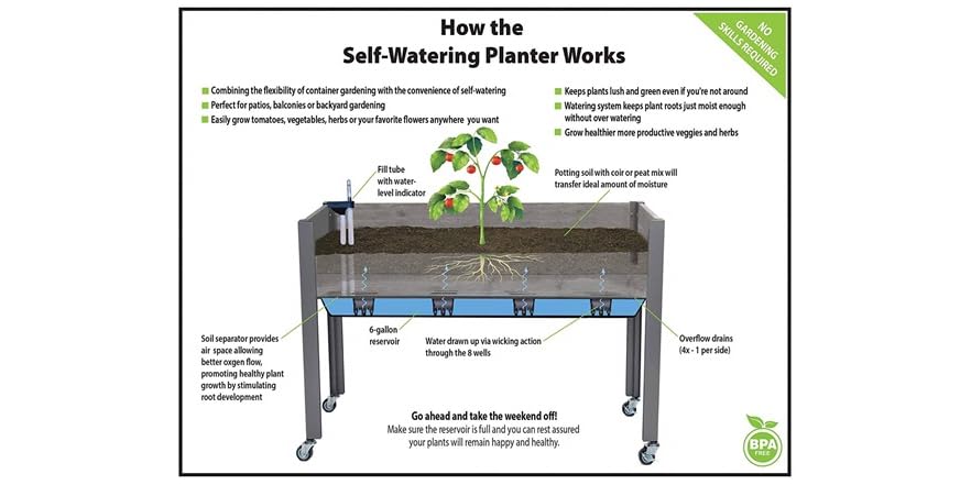 Self-Watering Spruce Planter