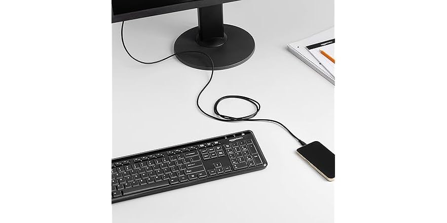 AmazonBasics 6FT Lightning to USB-A Charging Cable