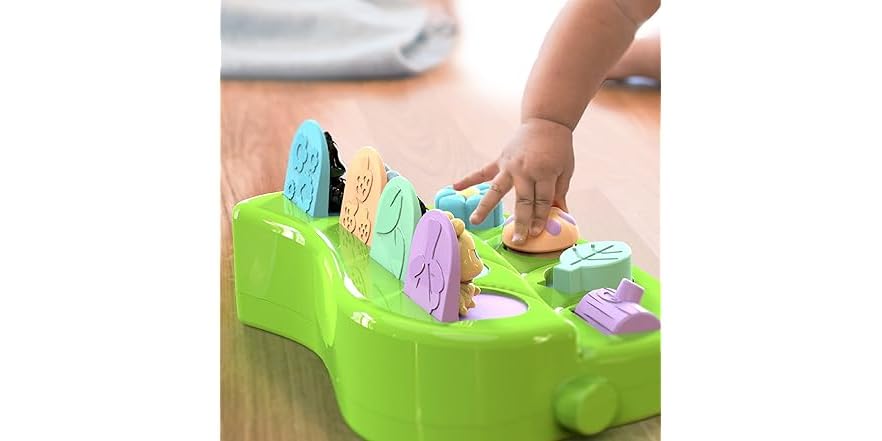 Pop Up Cause and Effect Toy