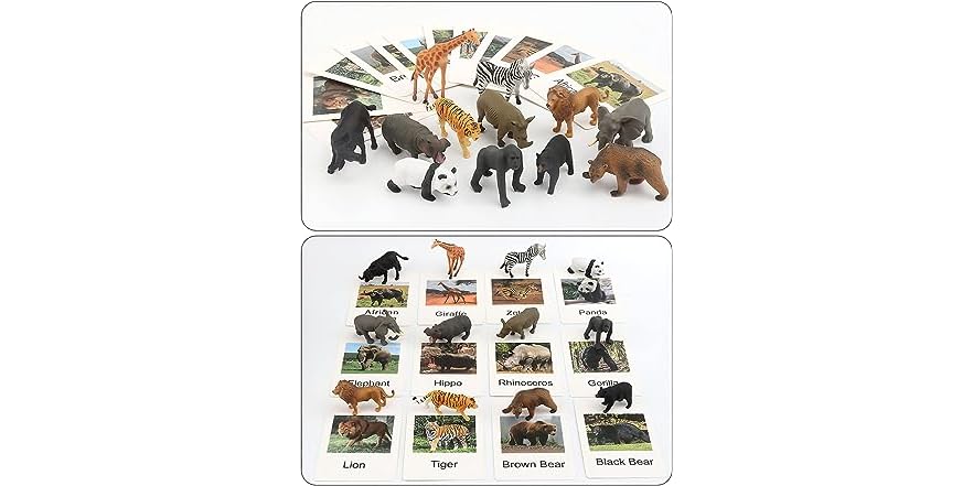 Montessori Animal Figures with Cards
