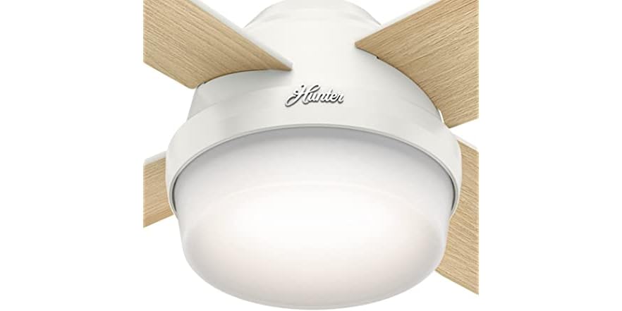 Hunter Fan 52" wRemote & LED Light Kit