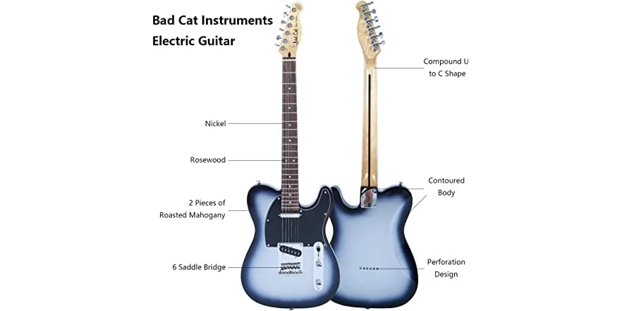 Bad Cat Instruments Electric Guitar