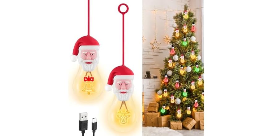 Santa Christmas Light Bulbs, 2 Pack
