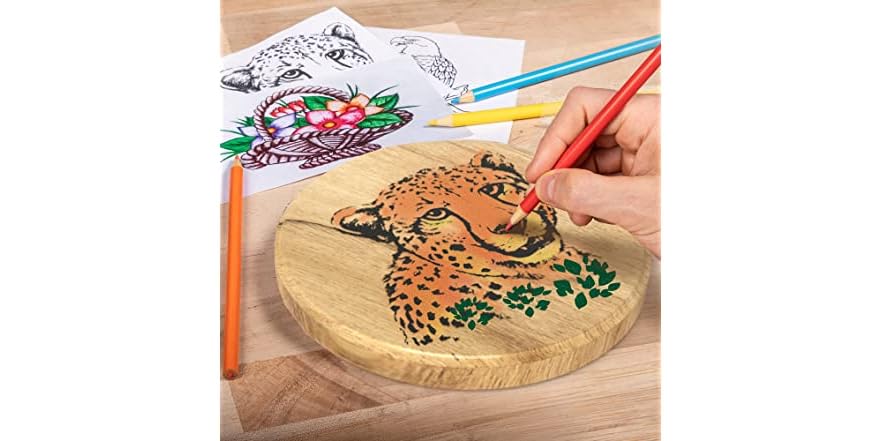 Weller Woodburning Project Kit, 28 Piece
