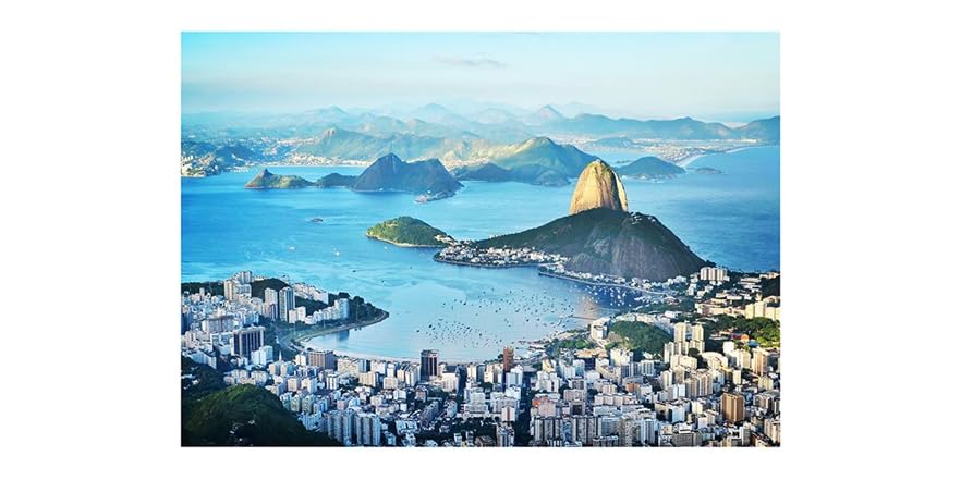 Rio Wall Mural