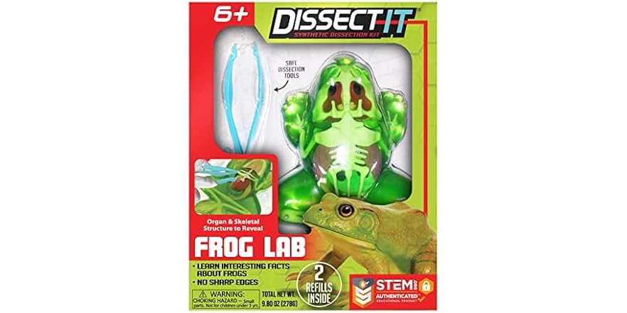 A Synthetic Frog Dissection kit