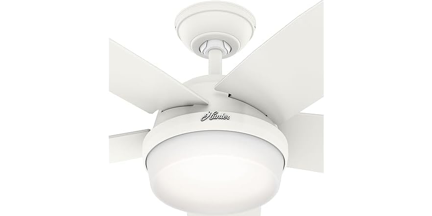 Hunter Fan Company 52-inch wLight Kit and Remote