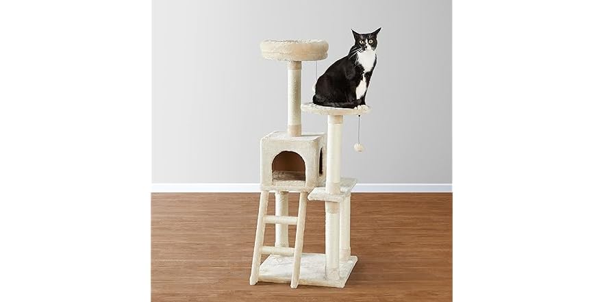 Amazon Basics Multi-Level Cat Tree wPost 50" H