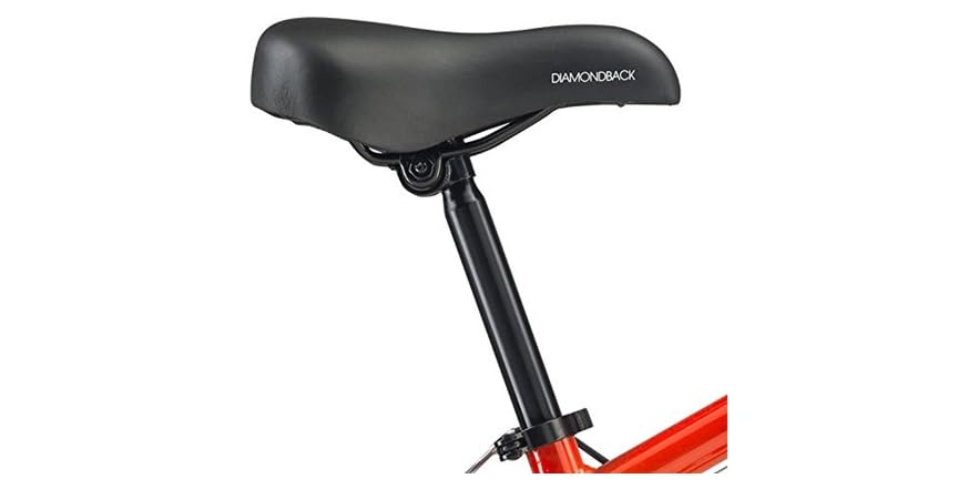 Diamondback Bicycles Youth Mountain Bike