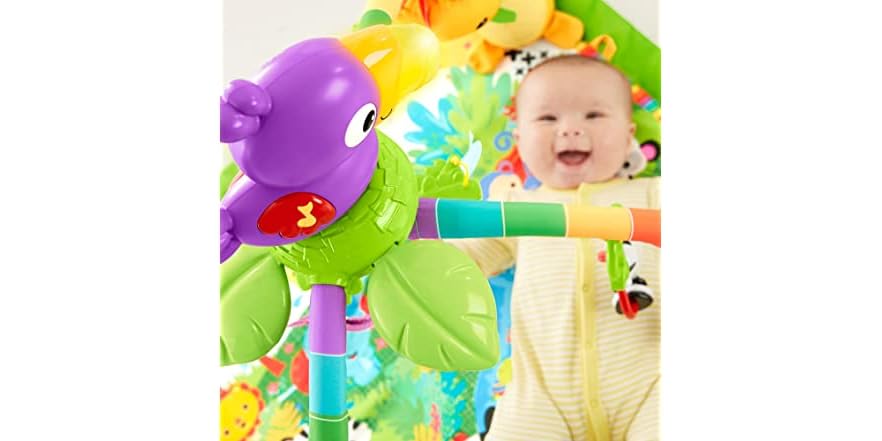 Fisher-Price Rainforest Gym