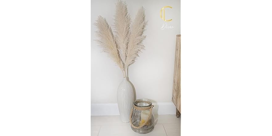 Lunch Box Heroes Pampas Grass Large