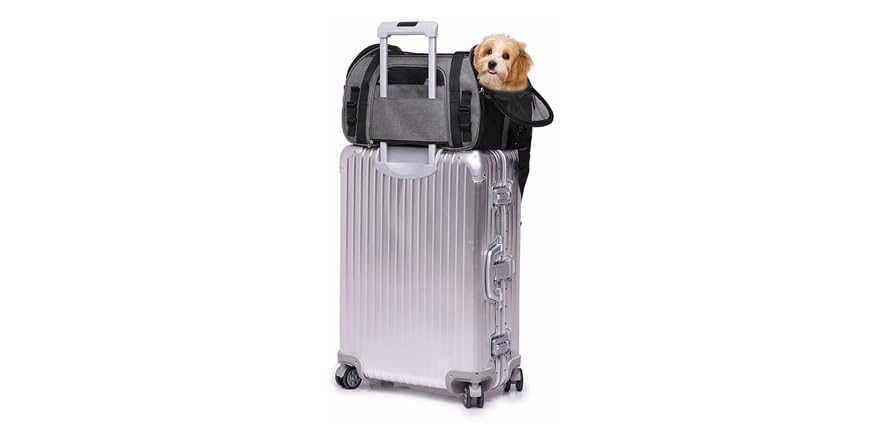 Jaspet Soft Sided Pet Travel Carrier