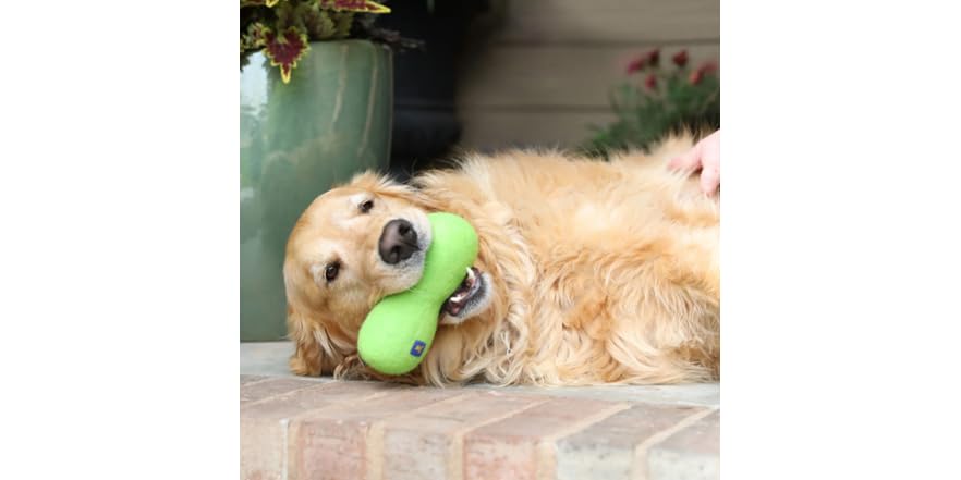 JW Wool-EE Bone 100% Wool Dog Toy