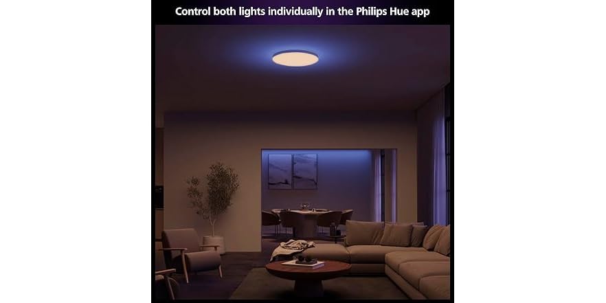 Philips Hue Datura Smart Ceiling Panel 2.49" x 22.60"