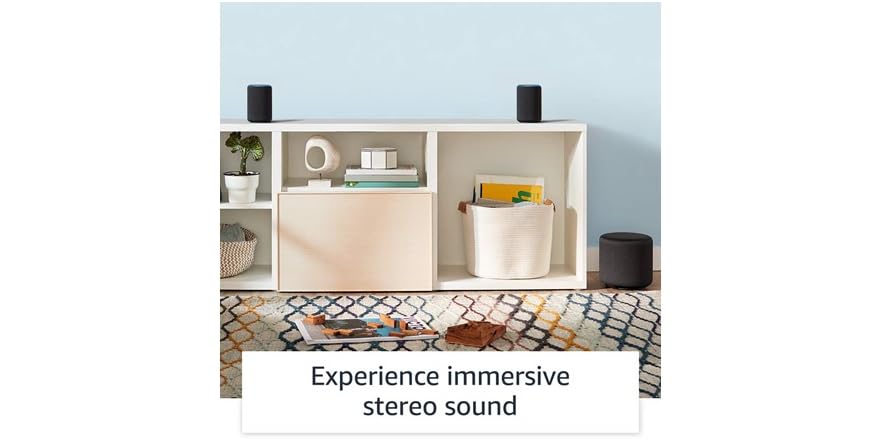 Amazon Echo Sub