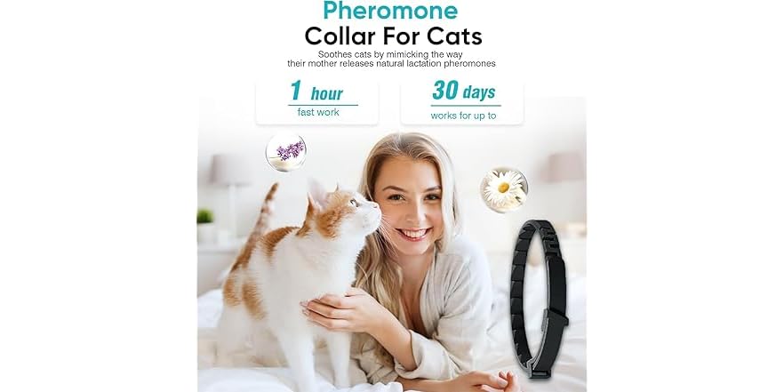 Generic Cat Calming Collar 4 Pack, Black