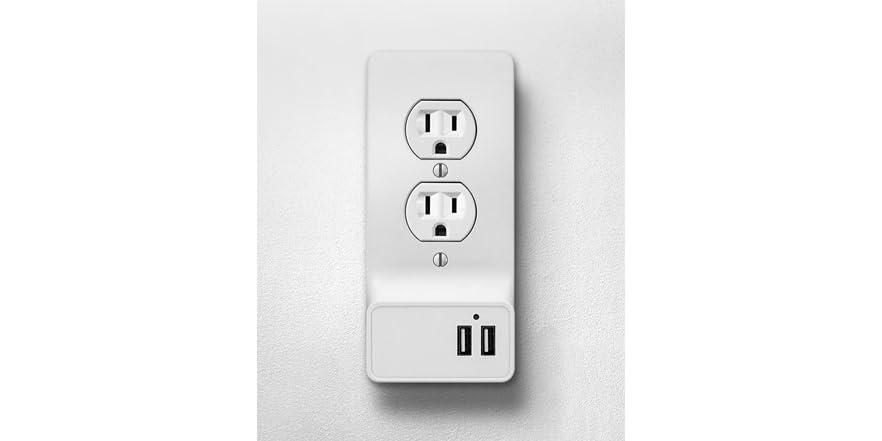 iPM Smart Home USB Wall Plate (2-Pack)