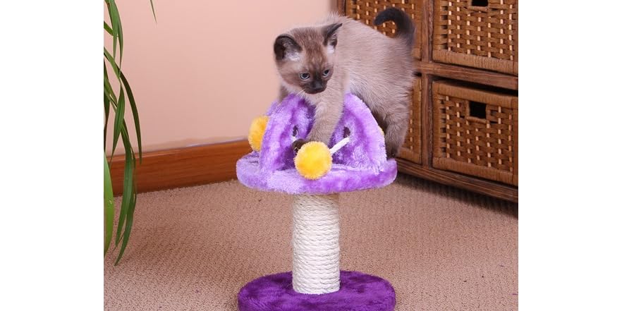 Mushroom Shaped Scratching Post w/Sisal 11" H