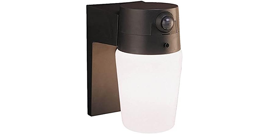 Security Light in Bronze Finish