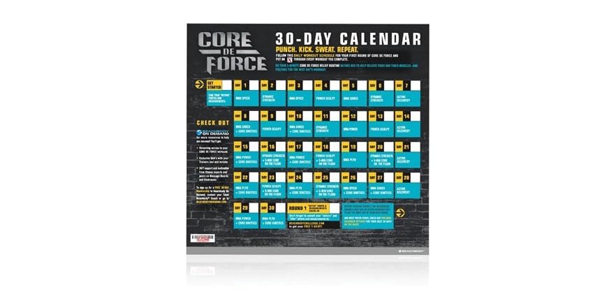 Beachbody CORE DE FORCE Base Kit DVD Program