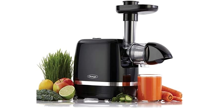 Omega Cold Press 365 Horizontal Juicer