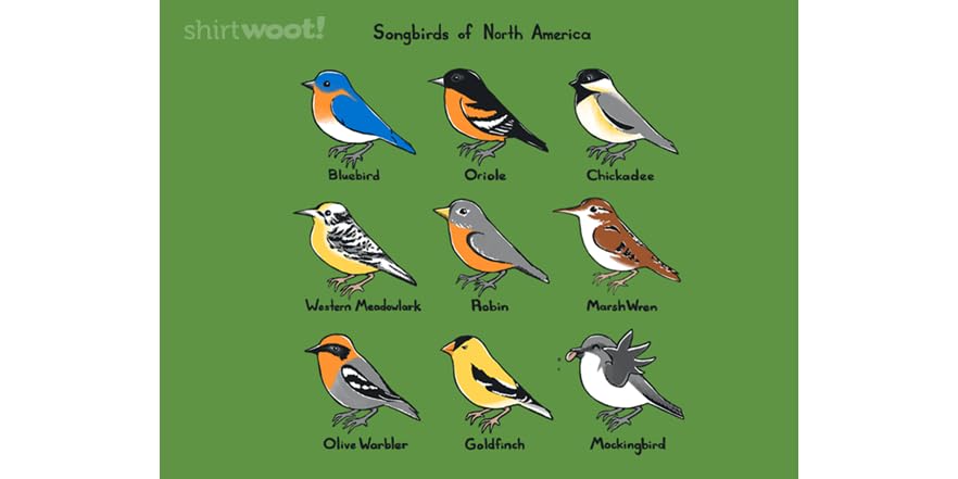 Songbirds of North America