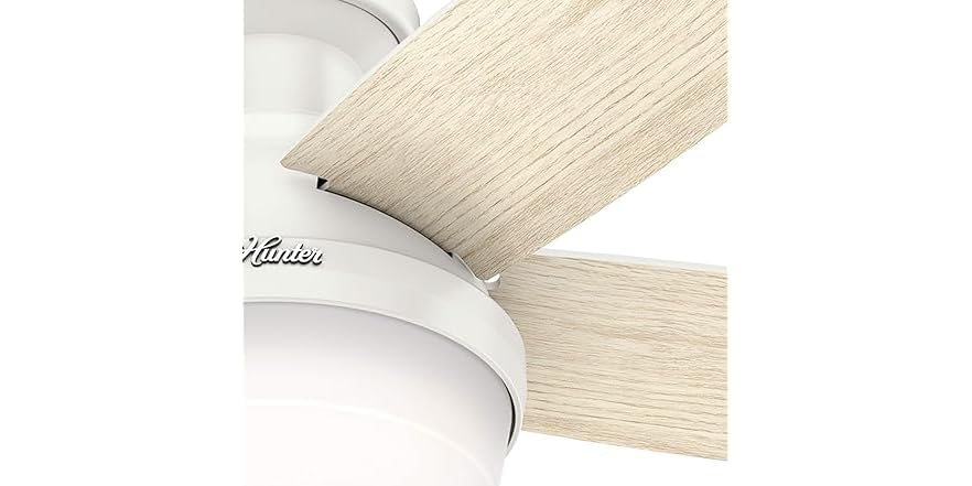 Hunter 48" Fan wLight Kit and Remote