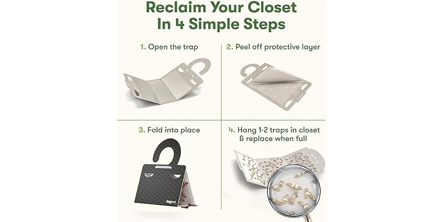 BugMD Clothes Moth Boss Traps- Choose Size & Color