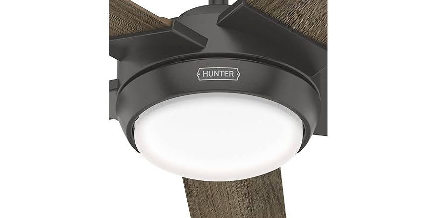 Hunter Fan Company 52-inch with Light and Remote