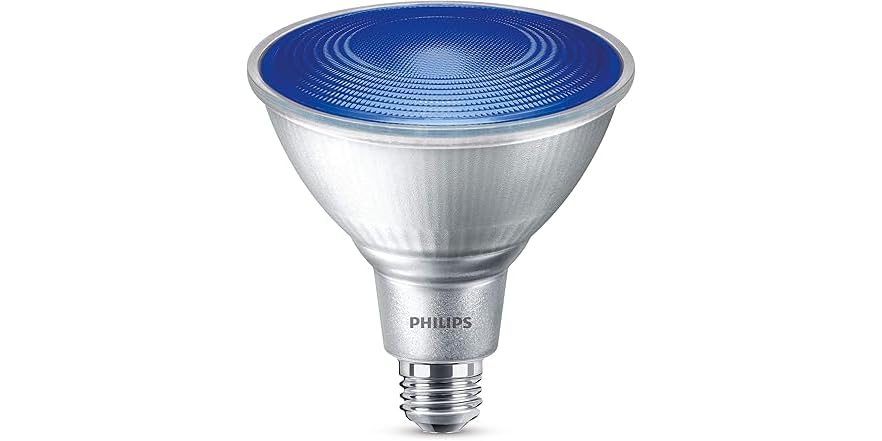 Philips LED Non-Dimmable PAR38 Blue Party Light