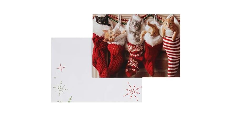 Avanti Press Christmas Cards, Stocking Full of Kittens, 10 Count