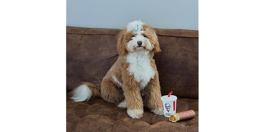KFC Mini Chicken Wrap & Soda Meal Dog Toy Set