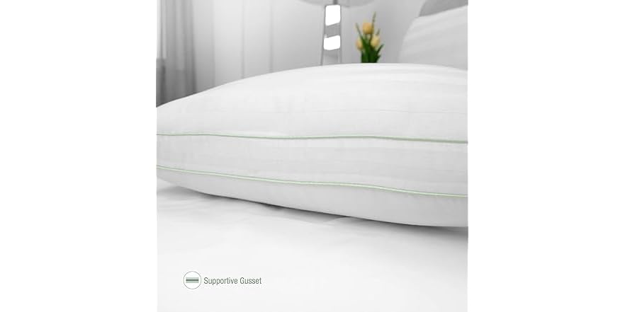 BioPEDIC 4Pk 300TC Plush Fiber Pillow