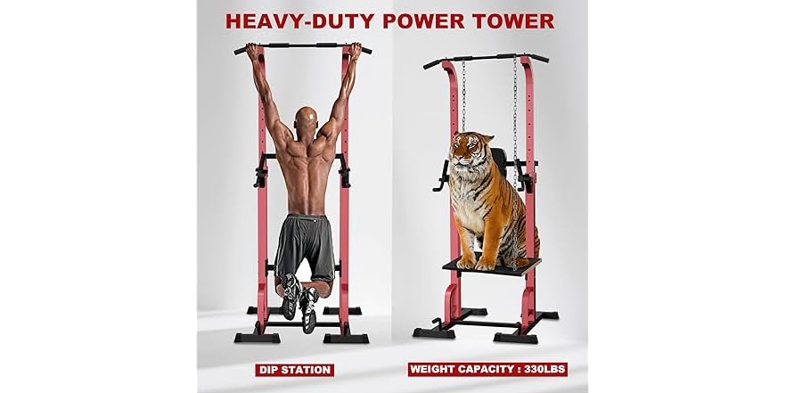 Holleyweb Multi-Function Tower Dip Station