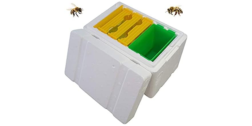Beekeeping Mini polystyrene hive